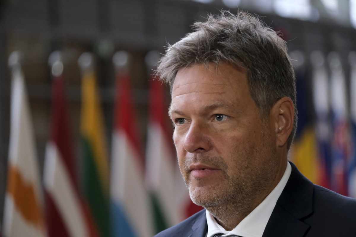 Robert Habeck Vermögen: Analyse und Fakten